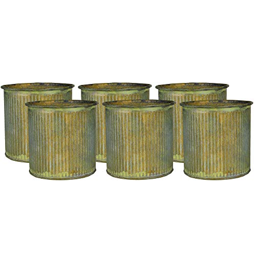 The 18 Best CYS EXCEL Planters of 2024 [Verified] - Cherry Picks