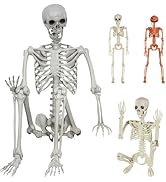 Amazon.com : SUNREEK 4Pcs Halloween Full Size Skeleton Set, Life Size ...