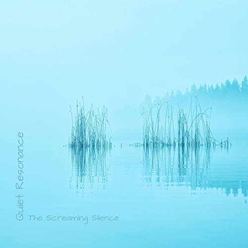 Amazon.com: The Screaming Silence : Quiet Resonance: Digital Music