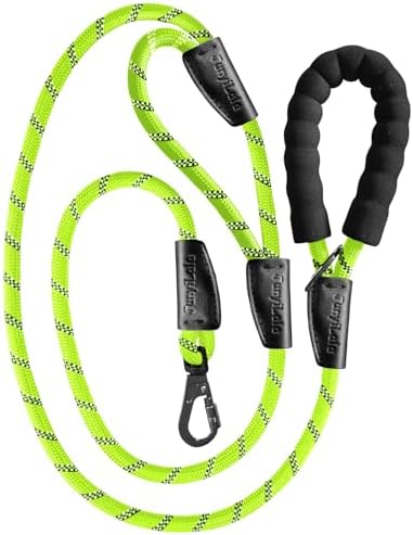 Amazon.com : 6FT Dog Leash Heavy Duty,Extra Foam Padded Two Handles ...