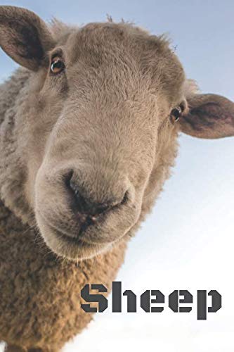Sheep: Animal Notebook for Kids and Adults, Journal, Notes, Diary ...
