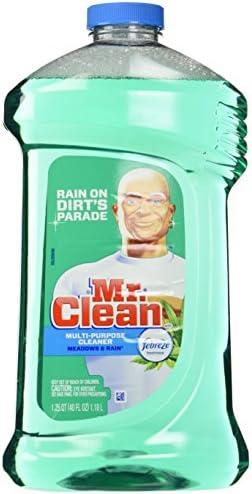 Amazon.com: Mr. Clean with Unstopables Fresh Scent Multi-Surface ...