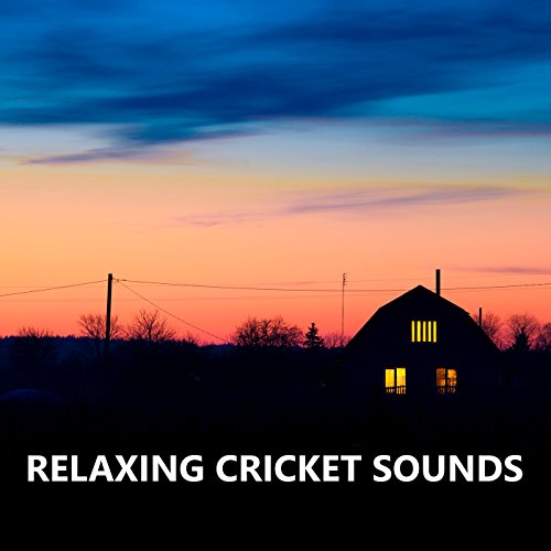 Spiele Relaxing Cricket Sounds von Cricket Sounds auf Amazon Music ab