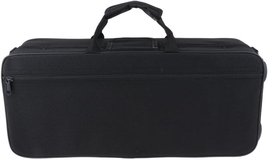 Amazon.com: Gazechimp Lightweight Nylon Trumpet Case with Removable ...