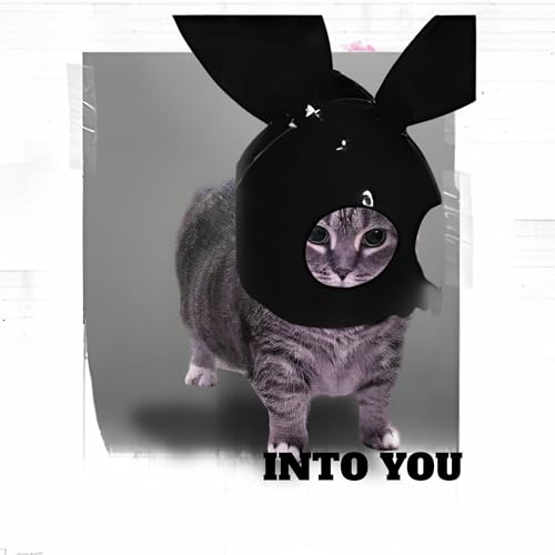Play Into You Uia by Oiia Cat & Uiia Cat on Amazon Music Unlimited
