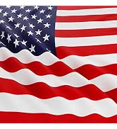 Amazon.com : DecoVibe Bi Flag 3x5 Ft for Indoor Wall Decor - Vibrant ...