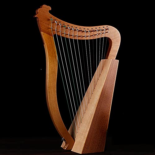 Amazon.co.jp Best Sellers: The most popular items in Stringed ...