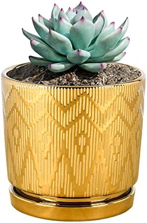 Amazon.com : Oairse 4.5" 5.5" Gold Planters for Indoor Plants Set of 2 ...
