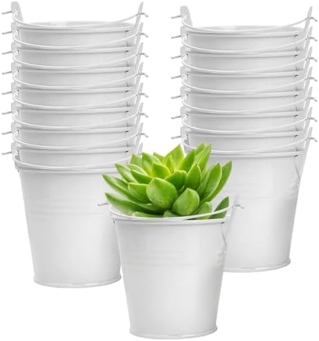 Amazon.com: TAKMA 3.1Inch Galvanized Mini Tin Buckets – 12Pcs White ...