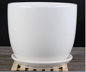 Amazon.com : Ceramic Pure White Modern Home/Garden Round Flower Planter ...