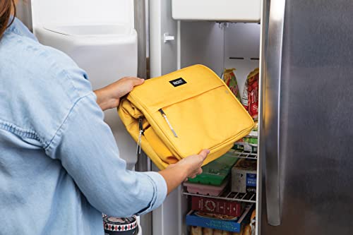 Snapklik.com : PackIt Freezable Zuma Can Cooler, Built