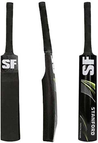 Stanford Catching Bat - English Willow Cricket Bat : Amazon.in: Sports ...