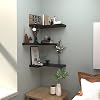 Amazon.com: NATURE'S SOURCE Corner Floating Shelves with Invisible ...