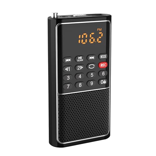 Top 10 Best Portable Rechargeable Dab Radio : Reviews & Buying Guide ...