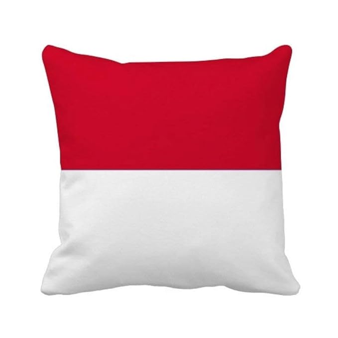 Indonesia National Flag Asia Country Square Throw Pillow Insert Cushion ...