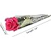 Amazon.com: LG LOUIS GARDEN Red Rose Artificial Flowers, Beauty and The ...
