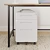 Amazon.com: FLEXISPOT Mobile File Cabinet for Home Office 3 Drawer File ...