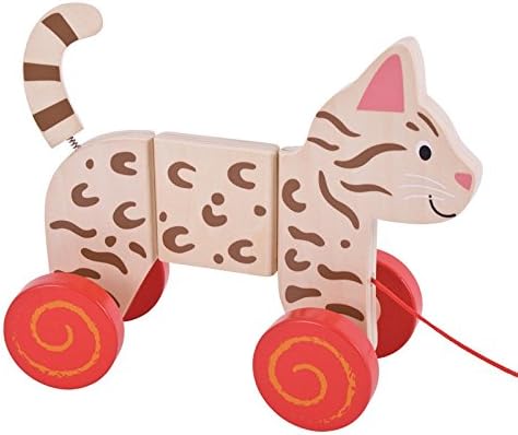 Bigjigs Toys Pull Along (Cat)