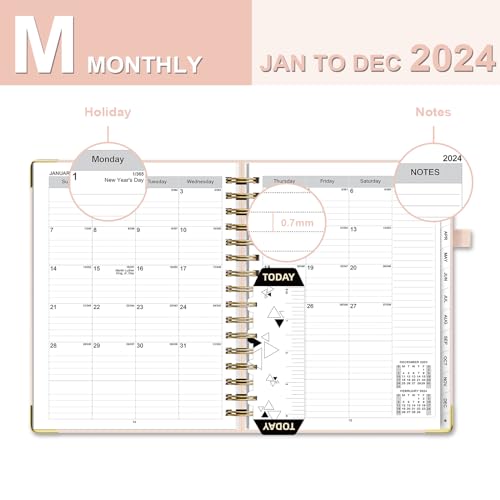 Snapklik.com : Daily Planner 2024-2025 Calendar 12 Month Weekly Teacher ...