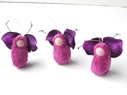 Amazon.com: Raspberry Flower Fairies : Home & Kitchen