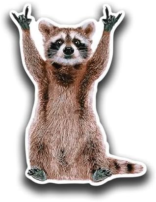 Amazon.com - Rocking Raccoon Decal Stickers - Two Pack - for Cars ...