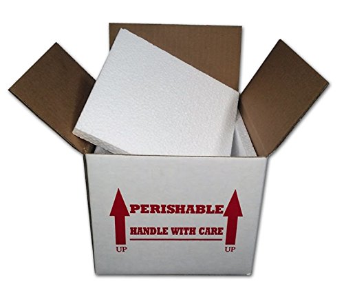 Amazon.com: Insulated Shipping Box, Small, 6" Length x 6" Width x 4 ...
