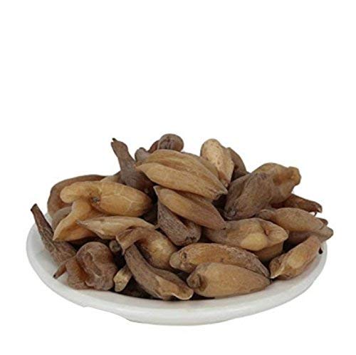 vinarghya – Suranjan Mithi/Suranjaan Sweet/Colchicum Luteum ...