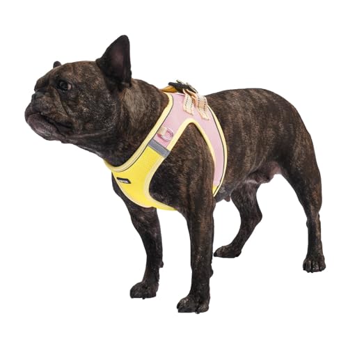 Yellow Dog Harness – The 15 best products compared - Wild Explained