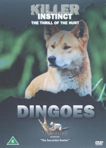 Amazon.com: Killer Instinct - Dingoes : Movies & TV