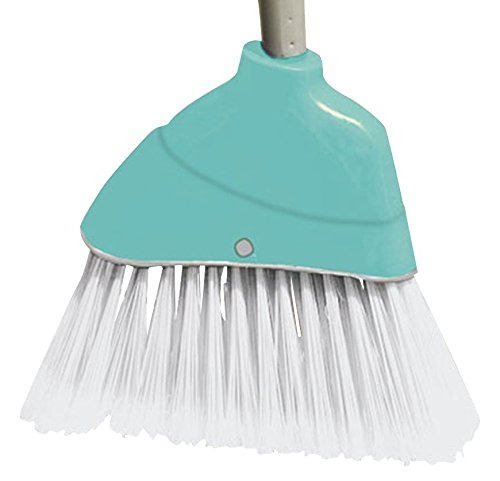 Spotzero EC-CPD-FLR-0016 Floor and Wall Broom (Aqual Green) : Amazon.in ...