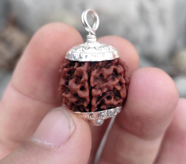Gemstone Gallery Rare Five Mukhi Rudraksha Original 5 Mukhi Nepali ...