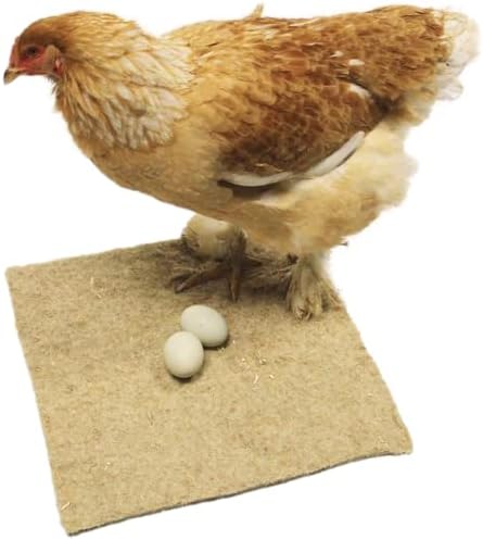 Amazon.com: terrafibre Chicken Coop Nesting Box Liners - Natural Hemp ...