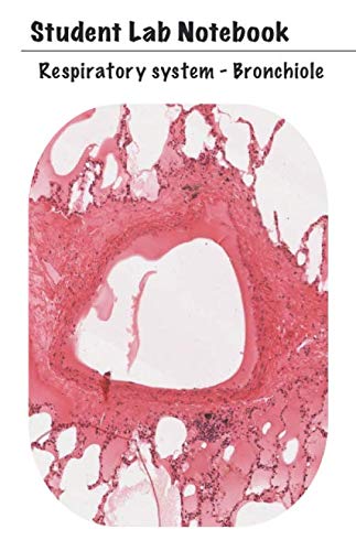 Student Lab Notebook - Respiratory system - Bronchiole: Histology ...