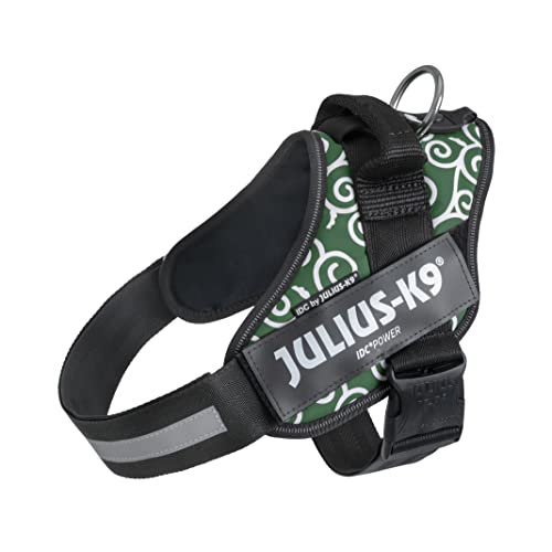 Julius K9 Harness – The 15 best products compared - Wild Explained