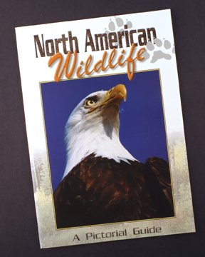 North American Wildlife, A Pictorial Guide: Amazon.co.uk: Books