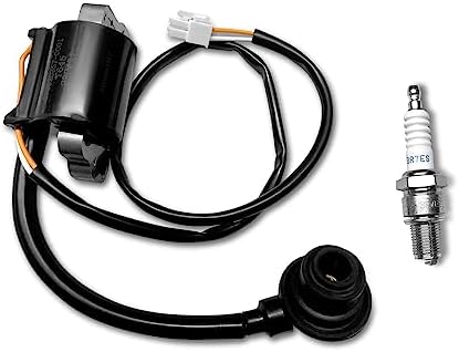 Amazon.com: FLGenny Ignition Coil for Harbor Freight Predator 3500 ...