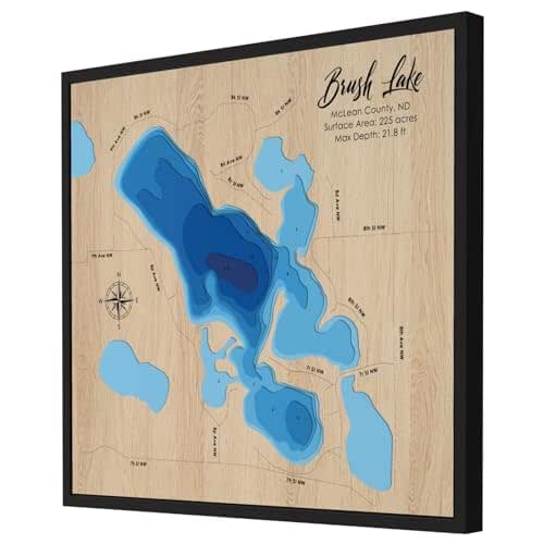 Amazon.com: Personalized 3D Brush Lake Wood Map - Lake Depth Map Art ...