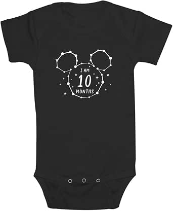 Amazon.com: Disney Mickey Mouse Infant Astrology Monthly Milestone ...
