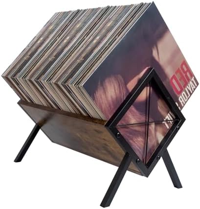 Amazon.com: ArtisanHQ Vinyl Record Holder, All Metal Album Case Storage ...