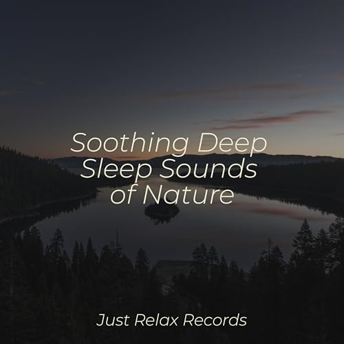 Spiele Soothing Deep Sleep Sounds of Nature von Best Relaxing SPA Music ...