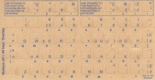 Amazon.com: Maltese Keyboard Stickers - Labels - Overlays with Blue ...
