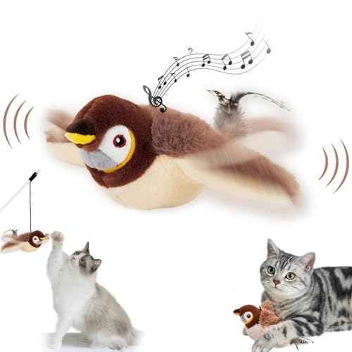 Flying Bird Cat Toy – The 15 best products compared - Wild Explained