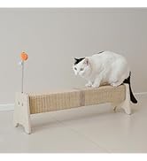 Amazon.com : PETKARAY Horizontal Scratching Post, 30" Sisal Cat Scratch ...