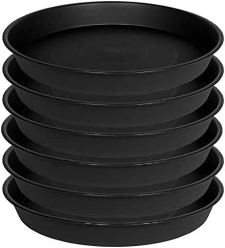 Amazon.com : MegaSprout 6 Plant Saucer Trays 9 Inch | Sturdy Plastic ...