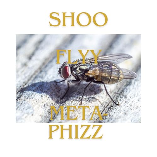 Play Shoo Flyy by Meta-Phizz on Amazon Music
