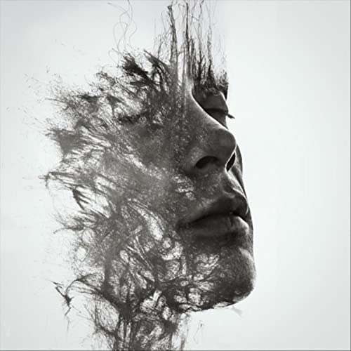 Amazon.com: Surfing the Subliminal : Martin Franssen: Digital Music