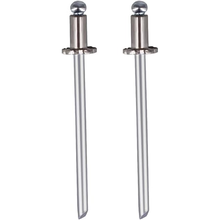 Amazon.com: 1 Pair GM NOS Dash Rosette Rivets Stainless Steel Fits for ...