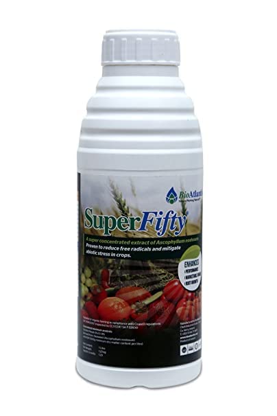 Bioatlantis Ocean Sprint 500ml : Amazon.in: Home & Kitchen