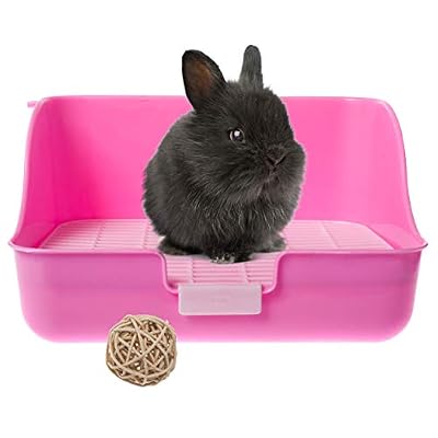 Amazon.co.uk: rabbit beds