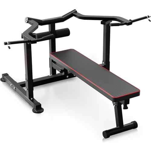 Best Angle for Dumbbell Chest Press and Top Adjustable Benches for Home ...